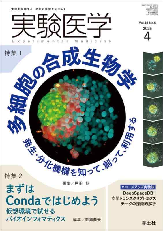実験医学 2025年4月 Vol.43 No.6 特集1：多細胞の合成生物学　発生・分化機構を知って、創って、利用する／特集2：まずはCondaではじめよう　仮想環境で試せるバイオインフォマティクス■ ご購入前に必ずご確認ください ■1. ...