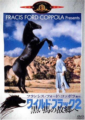 ワイルド・ブラック2/黒い馬の故郷へ [DVD]■ ご購入前に必ずご確認ください ■1. 在庫管理とご注文の確定当店は複数のオンラインモールで在庫を共有しております。在庫の変動： 更新のタイムラグにより、ご注文後に「完売」が判明する場合がご...