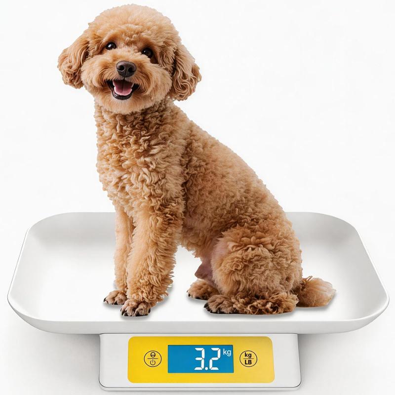 ペット 体重計 子犬猫用 15Kg容量 | 1g の精度 小型犬/猫/ウサギ 小型動物用 体重管理/成長記録(白)🐈【ペット 体重計】 計量可能範囲: 5g - 15kg（精度±1g） 機能切替：タッ チボタンのオン/オフ、...