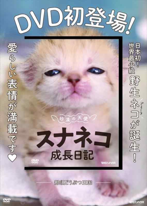 砂漠の天使スナネコ成長日記 (DVD)■ ご購入前に必ずご確認ください ■1. 在庫管理とご注文の確定当店は複数のオンラインモールで在庫を共有しております。在庫の変動： 更新のタイムラグにより、ご注文後に「完売」が判明する場合がございます。...