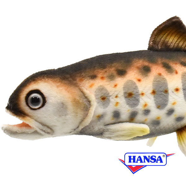 ●hansa社が制作したAQUARIUM（水族館）シリーズの 朱色の斑点が入った、美しく特徴的な模様もリアルに再現された日本の固有種 あまご 渓流魚のぬいぐるみです。 HANSA（ハンサ）のヌイグルミは野生動物や海洋生物、恐竜にいたるまであ...