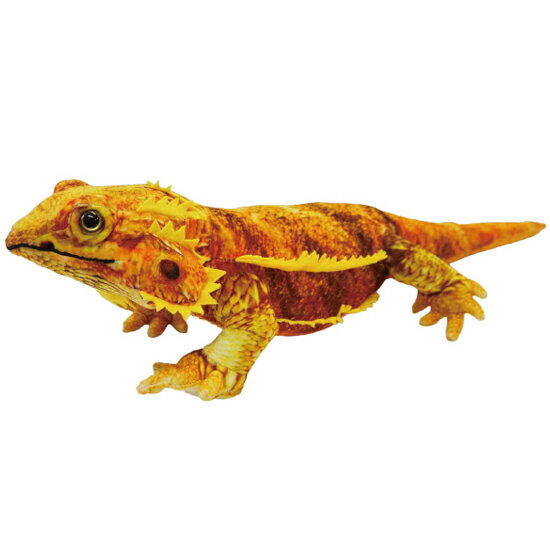 ●ワイルドリアルズ フトアゴヒゲトカゲは、独特な色や柄を再現した生地を使用した新しいタイプの爬虫類のぬいぐるみです。 写真のように細部の柄までプリントした生地を使用しながらぬいぐるみらしい可愛らしさも残すため、プリントはただの写真ではなく、...