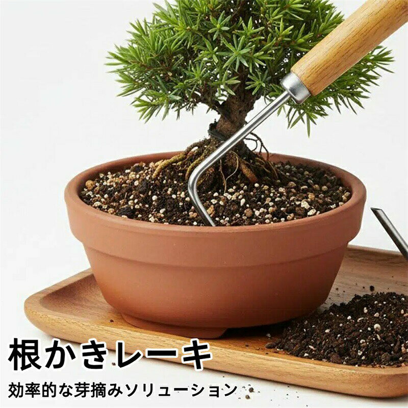 お手入れが簡単：盆栽用熊手はお手入れが簡単で、錆びにくいため、使用後は水で洗い流すだけで簡単にメンテナンスでき、時間と労力を節約しながら長持ちします。効率的な芽摘みソリューション：精密な盆栽の整形を助け、余分な芽を取り除いてより自然な外観を...