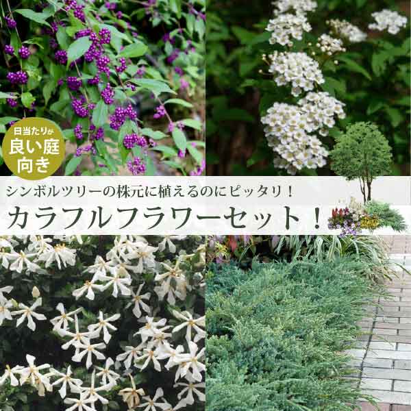 ◆◆◆シンボルツリーの株元に！（お花が楽しめる）◆◆◆ ◆適した環境：温暖地で日当たりが良く風通しのよい環境を想定しています。 環境や気候に合わせた内容の調整も可能です。お気軽にお問合せください。 ◆植え付け時期：春と秋が好ましいですが、厳...