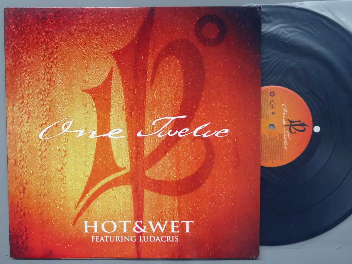 商品情報【種別／分類】LPレコード／洋楽【アーティスト】112【タイトル】Hot & Wet(輸入盤)【発売会社／企画番号】Def Soul／B0001150-11【定価】---【帯】---【ジャケ】良（E）／軽シミ点【歌詞カード】---（...