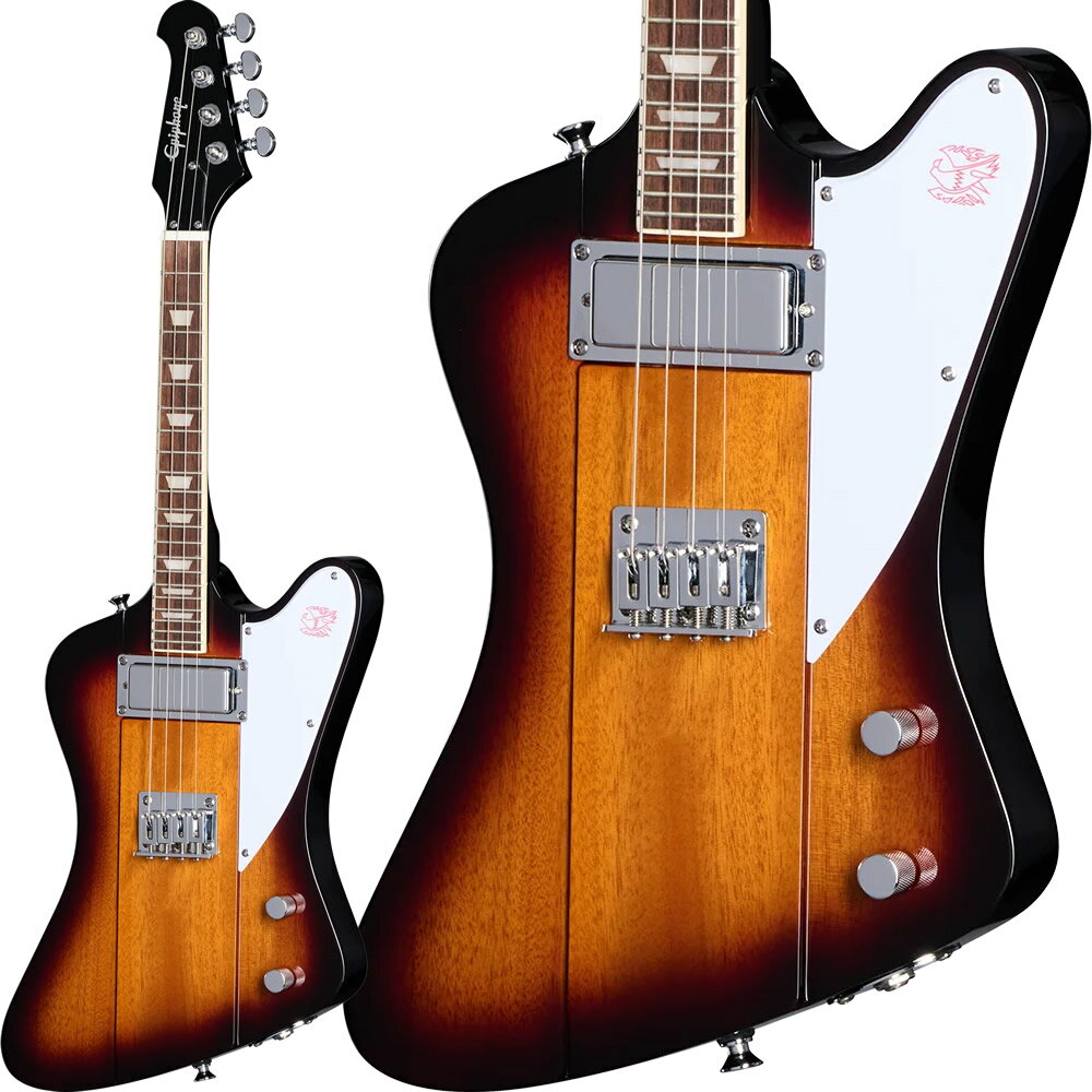 The Perfect Electric Mandolin For Every Stage エピフォン・ファン待望のエピフォン・マンドバードが復活！マンドバードは4弦仕様のエレクトリック・マンドリンです。ブルーグラスやウェスタン・スイングの...