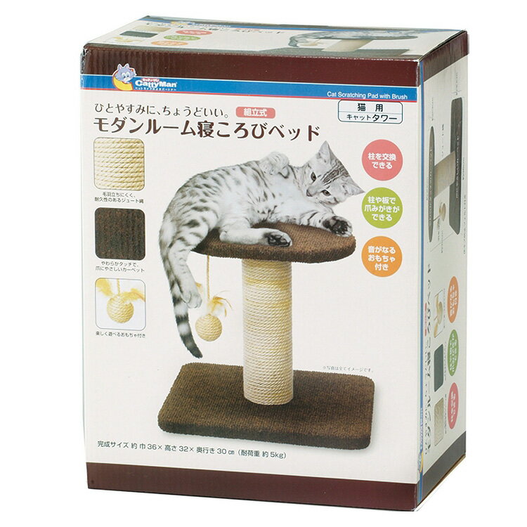 ※この商品はお届け日時をご指定いただけません。またご注文画面において、指定日・指定時間の入力欄が表示されますが、ご指定されても、「日時指定なし」での発送となりますので予めご了承の上ご注文下さい。※代引きにてご注文いただきますと、お支払い方法...