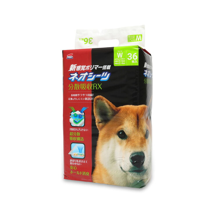 ※この商品はお届け日時をご指定いただけません。またご注文画面において、指定日・指定時間の入力欄が表示されますが、ご指定されても、「日時指定なし」での発送となりますので予めご了承の上ご注文下さい。※代引きにてご注文いただきますと、お支払い方法...