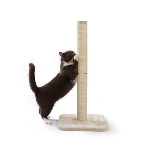 猫壱 バリバリつめとぎポール 麻 爪研ぎ Lブランド猫壱色a) ベージュモデル4582725980134商品説明【商品概要】【麻素材のつめとぎは使い込むほどに猫好みに。】 麻素材は、猫が引っ掻いて繊維がほつれていくことで、徐々に猫好みの柔ら...