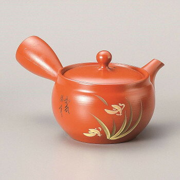 陶器ならではの風合いが特徴的な急須です。お茶をより一層美味しく感じられること間違いなし。サイズ個装サイズ：9.4×16.4×14.3cm重量個装重量：390g仕様容量:400cc網:かご網生産国日本fk094igrjs
