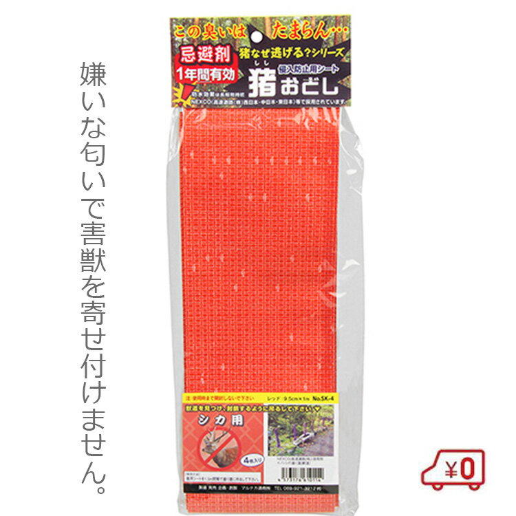 ※この商品はメール便での配送商品です。 　代金引換不可・配送日時指定不可商品となります。 　ご了承の上ご購入下さい。 送料やメール便についてご不明点がございましたら、 下記のリンクから内容をご確認ください。↓ ★メール便についてご確認くださ...