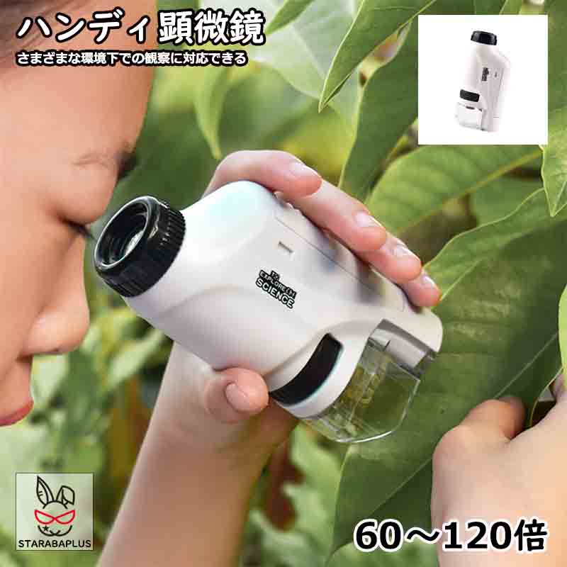 顕微鏡 子供 ハンディ顕微鏡 60〜120倍 小学生 自由研究 野外観察 趣味 LEDライト内蔵 けんびきょう コンパクト 観察 送料無料 簡単に驚きの世界を体験できる♪ 5