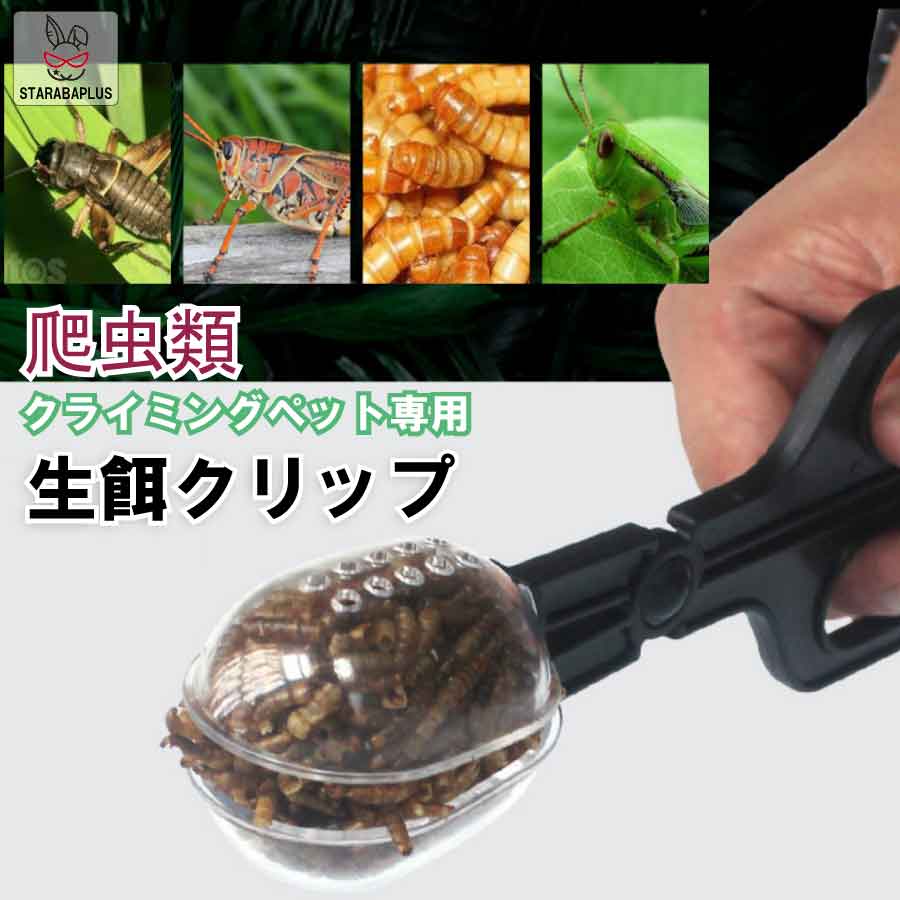 この商品は 「★エントリーポイント10倍」爬爬虫類 トカゲ 餌やり 簡単 生餌 カメレオン 送料無料 ポイント爬虫類 トカゲ 餌やり 簡単 生餌 カメレオン 送料無料 ショップからのメッセージ 納期について 4