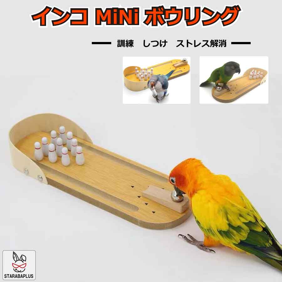 この商品は 「最大★P10倍＆P10倍」小鳥 インコ オウム ボウリング ボーリング ストレス解消 しつけ 訓練 学習 遊び ストレス解消 運動 送料無料 ポイントサイズ：直径：約30 cm / 幅：約10 cm 商品説明 高品質のテクスチ...