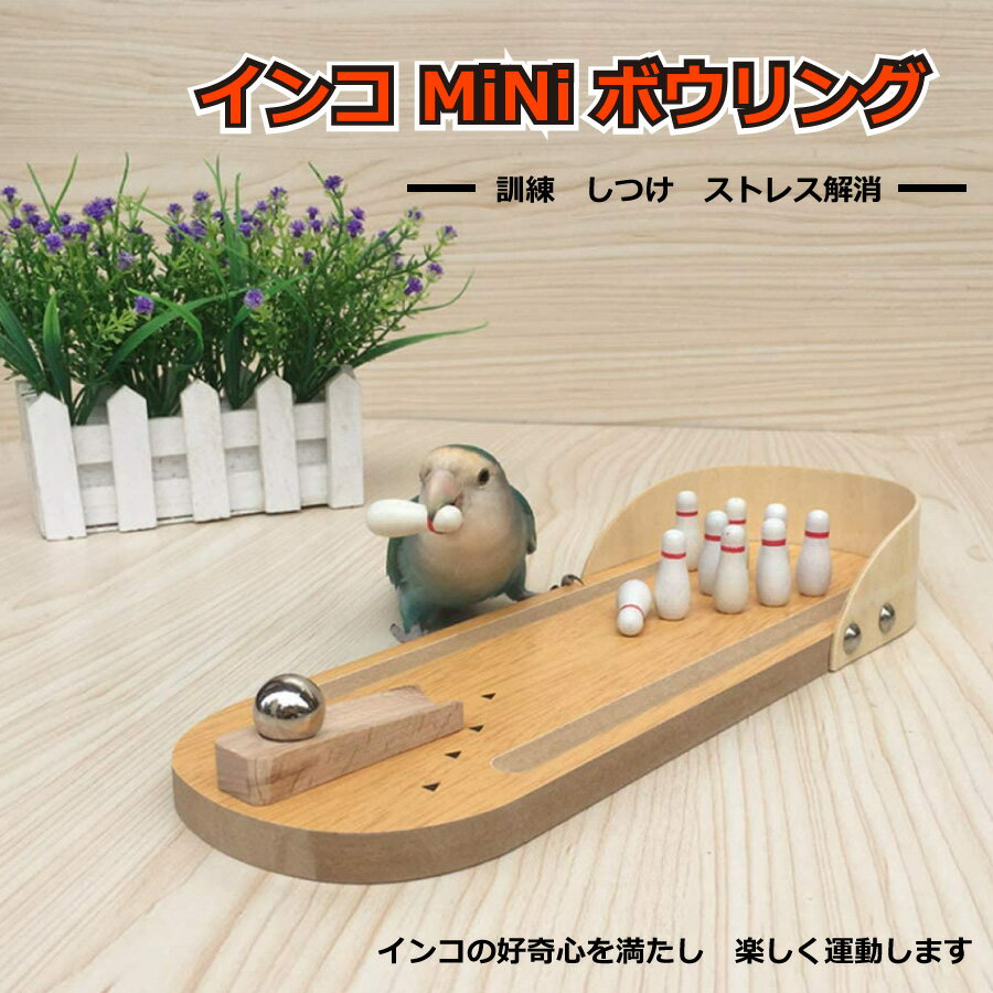 この商品は 小鳥 インコ オウム ボーリング ストレス解消 しつけ 訓練 学習 遊び ストレス解消 運動 送料無料 ポイント サイズ：直径：約30 cm / 幅：約10 cm 商品説明 高品質のテクスチャーボウリング、おもちゃの味を即座に向...
