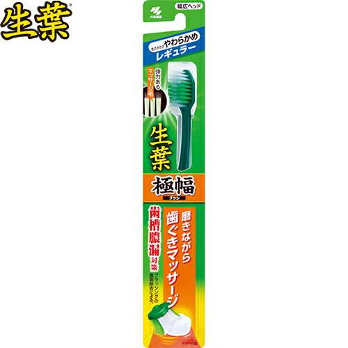 ◆商品説明 ・歯と歯ぐきを同時に磨ける歯槽膿漏対策歯ブラシ(やわらかめ)です。 ・歯ぐきマッサージ毛にはやわらか毛を採用し、弱った歯ぐきをやさしくマッサージ。 ・毛が広い範囲で歯面にあたり、歯垢をごっそりかきとります。 ・また、薄型ヘッドで...