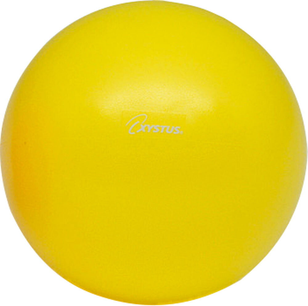 商品本体サイズ：直径約20〜21cm(2〜3号球相当)商品重量：180g空気の量によって大きさや柔軟性・弾力性が変わる柔らか素材の軽量ボール。ドッジボール等のボールゲーム導入時にご活用ください。PVC台湾空気注入式/球技ボール針使用出荷時に...