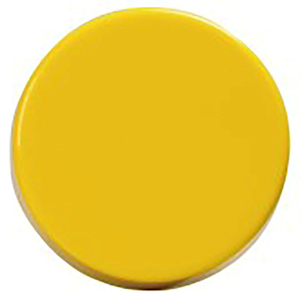 商品本体サイズ：直径8cm×厚さ2cm、釘/長さ8.5cm×厚さ0.3cm商品重量：135gコート上に目印を残したい場所例えばサッカーのPKマークなど強度抜群！硬い土質には特に効果的長さ8.5cm・肉厚3mmの釘で効果的に打込める。ポリエチ...