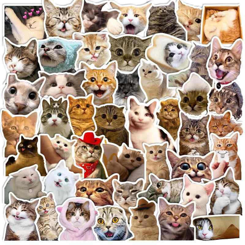 かわいい猫ステッカー50枚、ビニール防水美的ステッカー ティーンズ、女の子、大人、ウォーターボトル、ノートパソコン、携帯電話、オートバイ、コンピューター、ギター、スケートボー[かわいい猫シール]：私たちの50のかわいい猫シールの魅力的な世界...