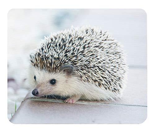 ハリネズミのマウスパッド 7：フォトパッド（ 世界の野生動物シリーズ ）この商品は、熱帯スタジオが製造販売しているオリジナル製品です。海外から発送される模造品にご注意ください。ほぼ全国翌日配達のレターパックライトで発送しています（熱帯スタジ...