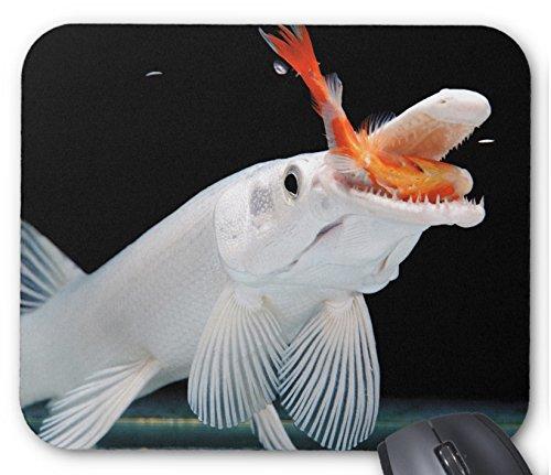 プラチナアリゲーターガーのマウスパッド：フォトパッド（ 世界の熱帯魚シリーズ ）この商品は、熱帯スタジオが製造販売しているオリジナル製品です。マウスパッドの大きさは、小さ過ぎず大き過ぎない、ちょうどよい大きさ（幅232mm、縦196mm、厚...