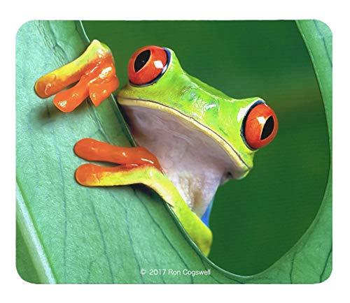 アカメアマガエルのマウスパッド 2：フォトパッド（世界のカエルシリーズ） (C)マウスパッドの大きさは、小さ過ぎず大き過ぎない、ちょうどよい大きさ（幅232mm、縦196mm、厚さ3mm）です。角は丸みを付けてあります。光学式マウスにも対応...