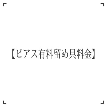 こちらの商品は単品ではご購入頂けません。ピアスご購入時に有料留め具をご選択頂いた場合に、選択された有料留め具個数分をかごに追加してください。