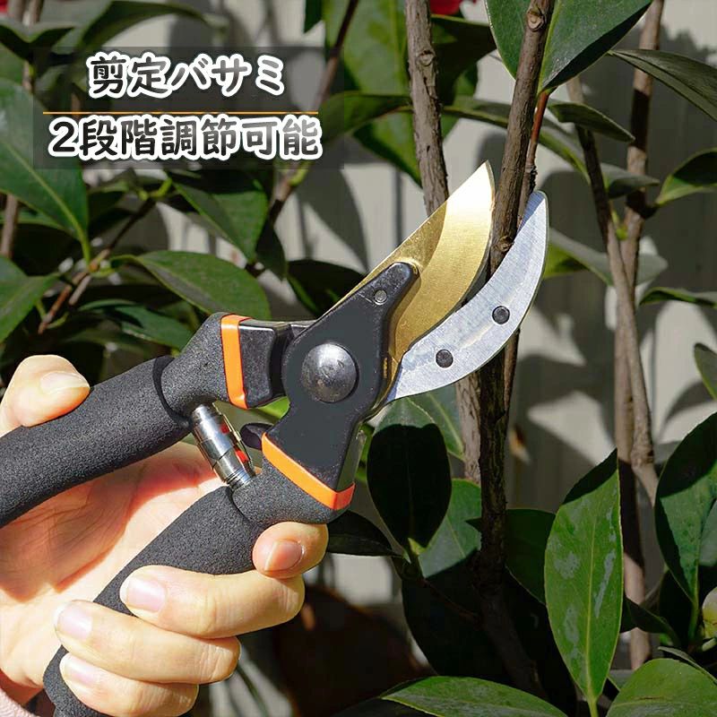 【切れ味の良い剪定ばさみ】初心者向け庭木剪定用のハサミ。経験ゼロから庭師として活躍できるよう教育活動をされている、造園パートナーズの大森先生おすすめ。園芸ハサミは直径3/4 "までの枝を切ることができます。 これは樹種によって異なる。 剪定...