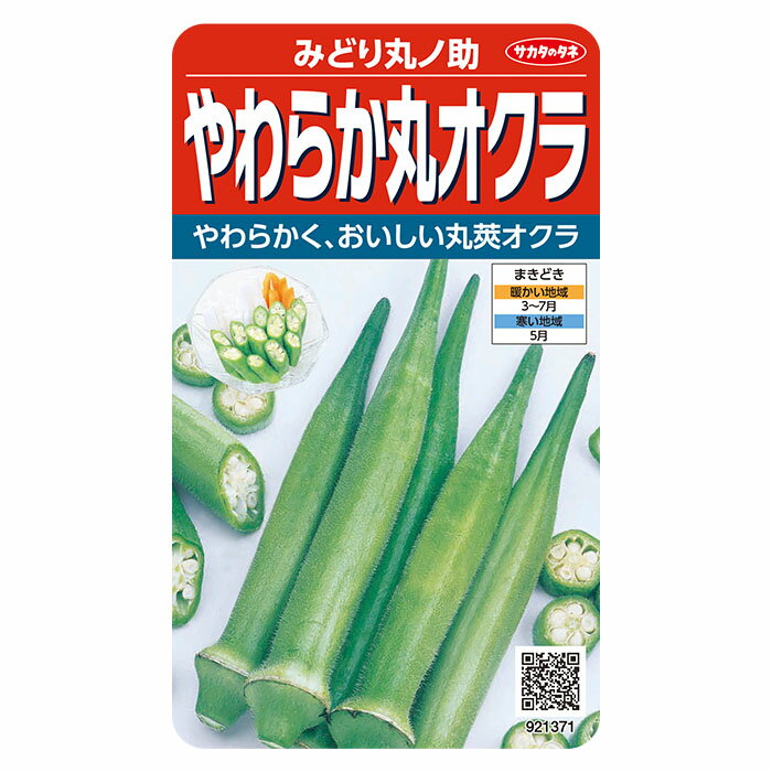 &nbsp; 実咲野菜1371 やわらか丸オクラ みどり丸ノ助 &nbsp; 大きく育っても収穫できる！ &nbsp; 角莢オクラと比べ、採り遅れても固くなりにくい丸莢オクラです。スジが入りにくく、小果～大果まで長く収穫できます。育てやすく...