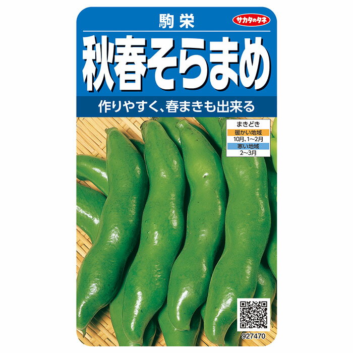 実咲野菜7470 秋春そらまめ　駒栄 JAN 4974449274703 内容量 28ml 粒数 6粒 発芽率 0.8 播き時【暖地】 10月、1～2月 播き時【寒地】 2～3月 収穫目安 播種後：約130日 園芸分類 マメ科 耐暑性 弱 ...