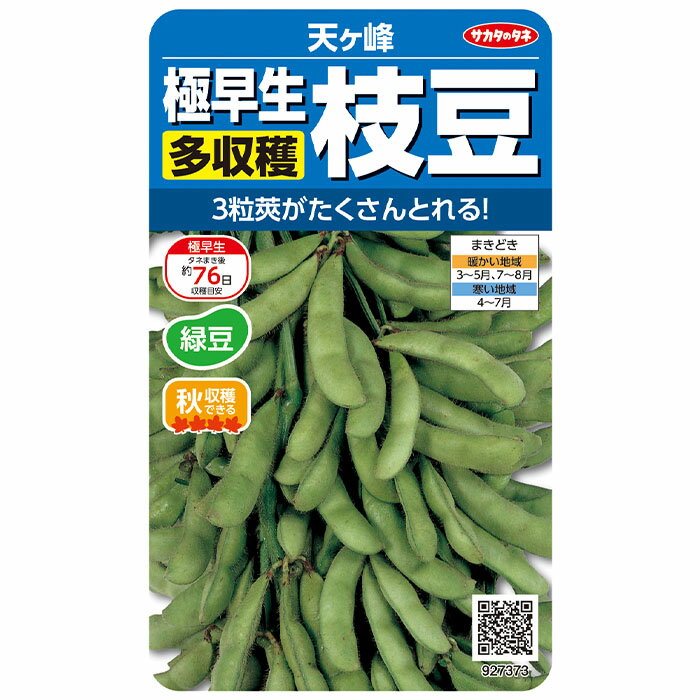 実咲野菜7373 極早生多収穫枝豆　天ヶ峰 JAN 4974449273737 内容量 30ml 粒数 約50粒 発芽率 0.8 播き時【暖地】 3～5月、7～8月 播き時【寒地】 4～7月 収穫目安 播種後：約76日 園芸分類 マメ科 耐...