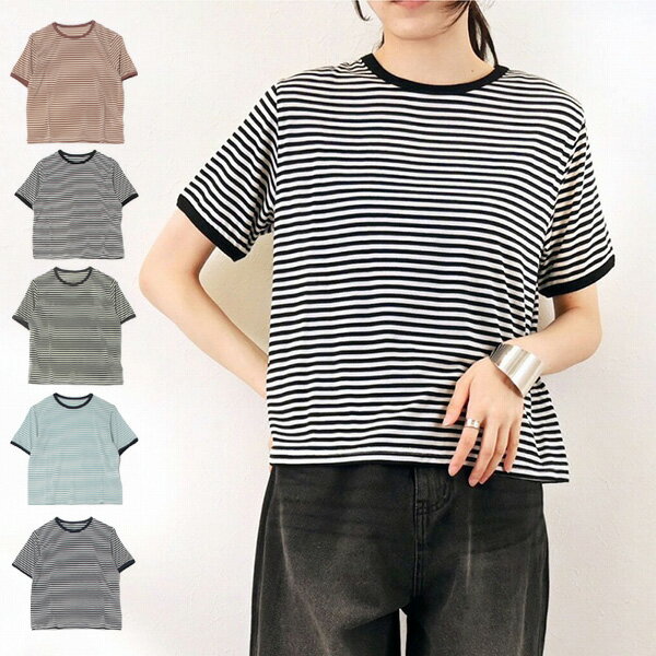 Tシャツ カットソー 半袖 クルーネック ボーダー シアー トップス レディース ライトブルー ベージュ ミント ネイビー ブラック【カラー】ライトブルー ベージュ ミント ネイビー ブラック【サイズ】着丈54cm 肩幅38cm バスト92...