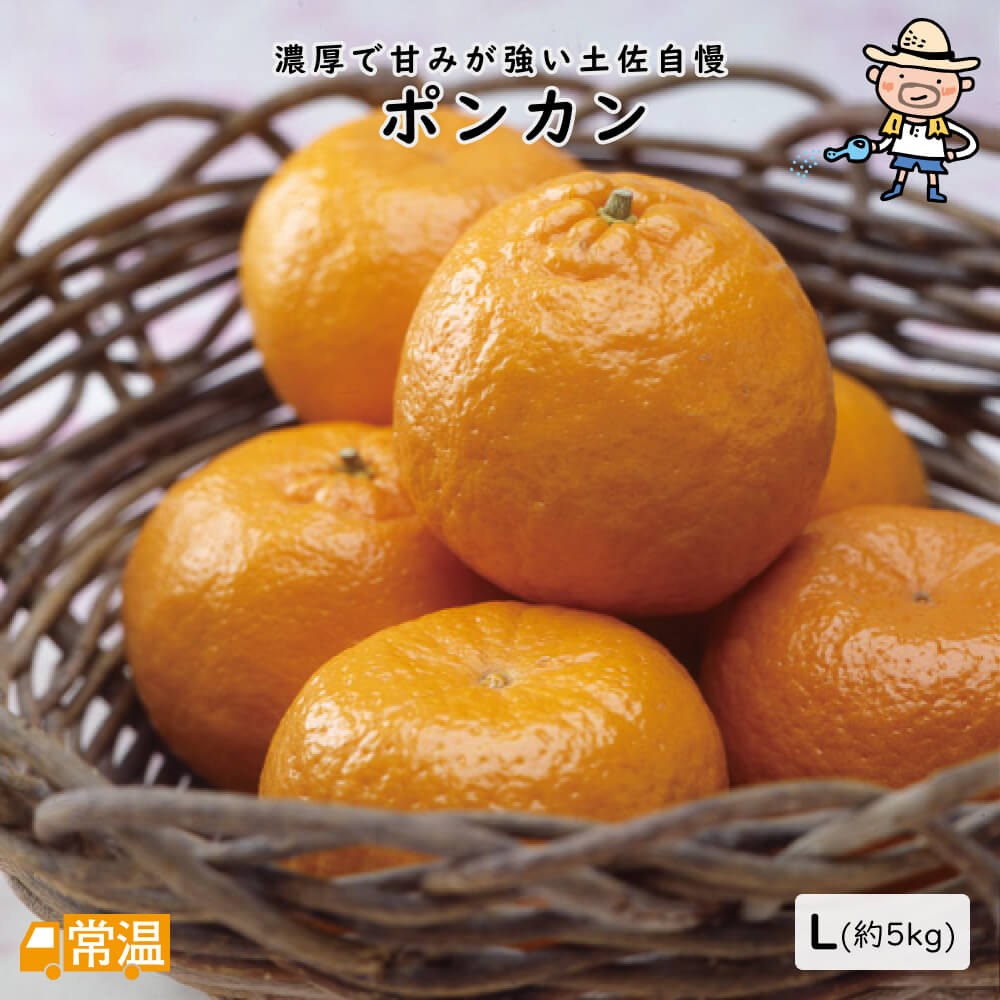 商品内容・ポンカン（L 約5kg）産地高知県柑橘王国高知では、ポンカンの栽培も盛んです。ポコポコとした厚い皮が特徴の「ポンカン」厚い皮は剥きにくそうですが意外と柔らかく温州ミカンのように手で剥けます。糖度の高い「低しょう系」にこだわってお届...