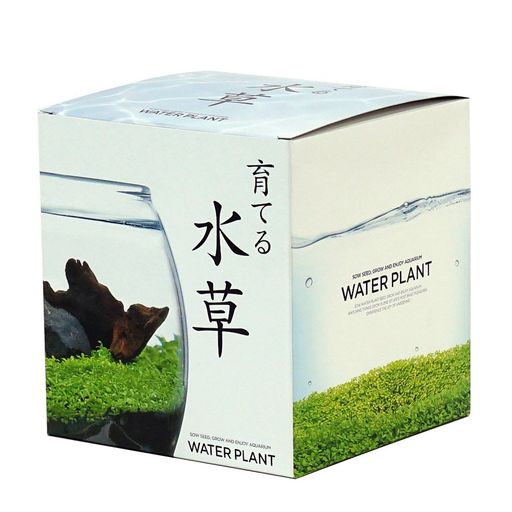 セット内容:ガラス鉢 土 種 石x2ヶ 流木 説明書 原産国:日本 サイズ:18.2x16.5x16.4cm 球体のガラス鉢に光が差し込み、いっそう潤いを増す水草のある空間。
