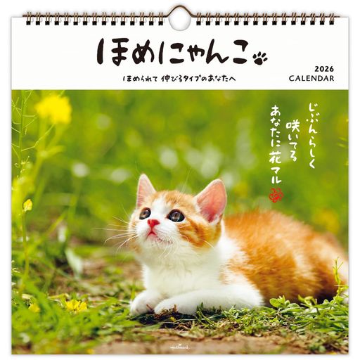【サイズ】300x300mm 【枚数】表紙1枚 本文12枚 【仕様】ツインリング綴じ/六曜・二十四節気付き/台紙付き/祝日表記:日本語/12ヶ月絵柄情報シート1枚 【その他】褒められて伸びる猫派のあなたへ!毎月可愛いネコちゃんたちが褒めてく...