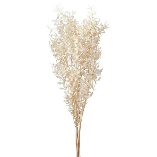 約L50~70cm 主な素材:天然素材 原産国:日本国 プリザーブドフラワー フラワー(プリザーブド) 染料が切り口や表面から漏れることがありますので、直射日光や湿気は避けてください。 直射日光や高温多湿の場所は避けてください。屋内装飾用の...