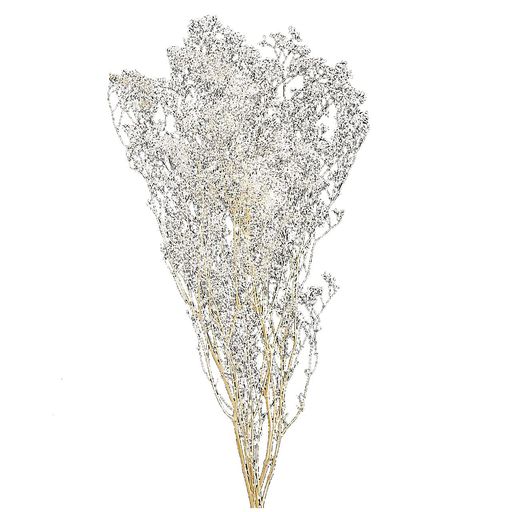 約L40.0cm 主な素材:天然素材 原産国:日本国 プリザーブドフラワー フラワー(プリザーブド) 染料が切り口や表面から漏れることがありますので、直射日光や湿気は避けてください。 直射日光や高温多湿の場所は避けてください。屋内装飾用のた...