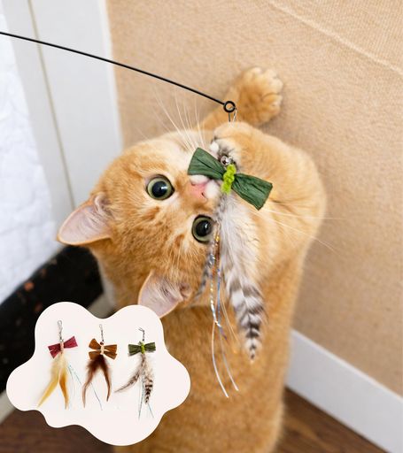 行動 【トンボ型デザインで本能を刺激】本製品はトンボをモチーフにした新デザインの猫じゃらし替えヘッド。天然の羽根とカラフルなラフィアが風を受けてふわりと舞い、まるで本物の昆虫のような動きを再現。猫の狩猟本能と集中力を強く刺激し、飽きずに夢中...