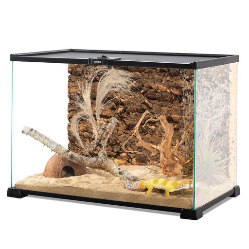 爬虫類テラリウムタンク 【全ガラス製爬虫動物用ケージ】55Lの爬虫類ケージ寸法:51cm(幅)x30.5cm(奥行き)x35.5cm(高さ)。この組み立て式のグラステラリウムは、小型爬虫動物、両生動物、昆虫などを飼育・観察するのに最適です。...