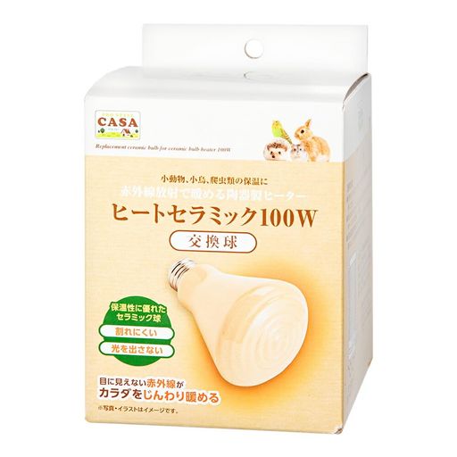 インドア