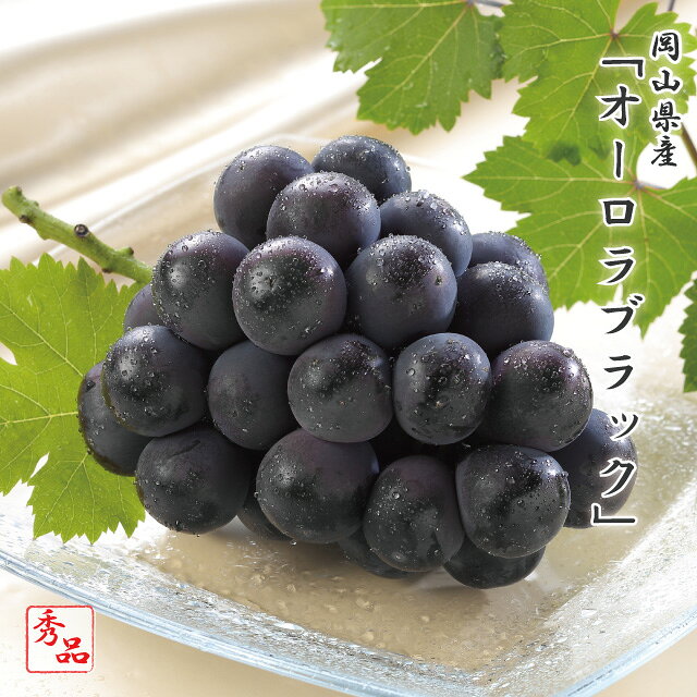 オーロラブラックは岡山県農林水産センター農業研究所において1983(昭和58)年に生み出され、2003年(平成15年)2月に品種登録された新しい品種のぶどうになります。 岡山県オリジナル品種として、岡山県でしか栽培されてなく巨峰やピオーネに...
