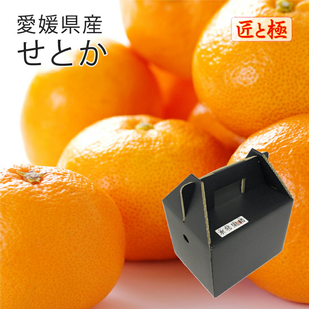 せとかは、清見とアンコールを掛け合せたものにマーコットを交配してできた柑橘で2001年に品種登録された平成生まれの高級柑橘として人気を集めています。 名前の由来は育成地（長崎県口之津町）から望む地名（早崎瀬戸）、瀬戸内地方での栽培が期待され...