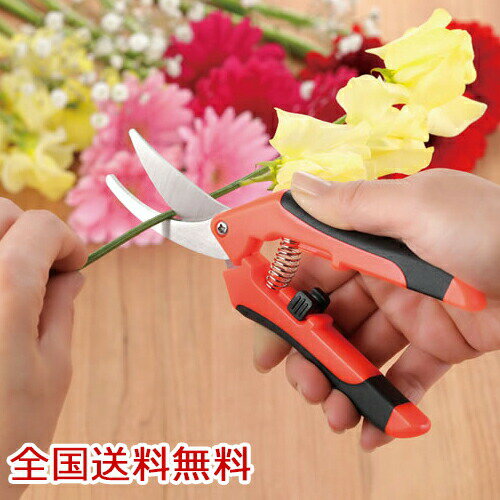花切り、生け花、植木の剪定に大活躍！ カーブ刃だから食い込みやすい！ 握りやすく、扱いやすい剪定鋏です。 刃部はステンレスなので、サビに強くお手入れも簡単です。 ロック付きなので安全に開閉できます。 女性の手でも楽々切れるサイズ。 軽量なの...