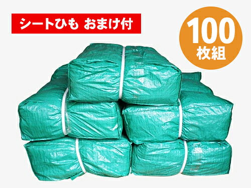 ＼ 今ならシートひも2,000本プレゼント！ ／ 特徴 ●塗料ミストの飛散を防止※します。 ●軽くて丈夫。取り扱いも容易です。 ●四辺すべてに約45cmピッチのハトメ付き。 ●シート用ひも(別売)等で足場などに固定してお使い下さい。 ●外部...