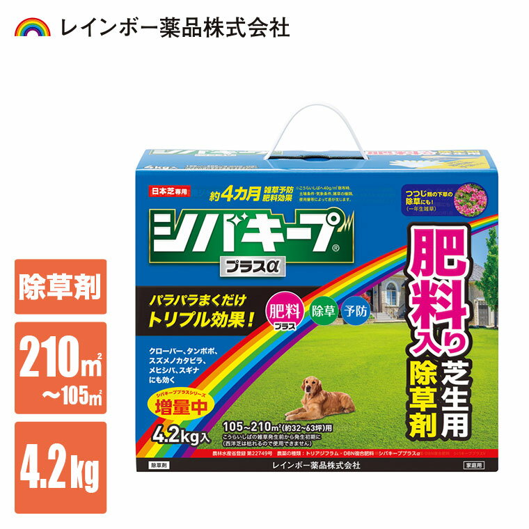 容量 : 4.2kg（105平米から210平米・約32から63坪） 薬剤登録 : 農林水産省登録第22749号 農薬の種類 : トリアジフラム・DBN複合肥料 農薬の名称 : シバキーププラスα レインボー薬品 シバキーププラスα 4.2k...