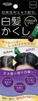 商品名日高白髪かくし　ブラック商品説明手も汚れずに簡単に染まるポイントペンタイプの部分白髪かくし。生え際や分け目の白髪にサッと塗って使える、ノック式ペンタイプ、日高昆布エキス配合。問合せ先東京企画販売製造販売会社（メーカー）東京企画販売販売...
