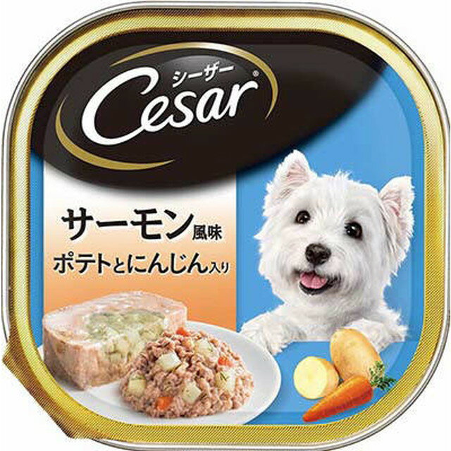 商品名CE36N　シーザー　サーモン風味　ポテトとにんじん入り　100g内容量100G商品説明厳選したサーモンにポテトとにんじんを合わせ、あじわい深く、おいしく仕上げました。製造販売会社（メーカー）マースジャパンリミテッド広告文責株式会社サ...