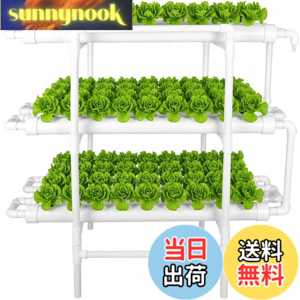 商品情報 商品の説明 主な仕様 【初心者に最適】この水耕栽培屋外栽培システムは、迅速で最大限の利便性を持つ野菜栽培のために設計されています。初心者に最適です！酸素を含んだ水と栄養素が根に直接届くので、土で育てた野菜よりも栄養価が高く、味も良...