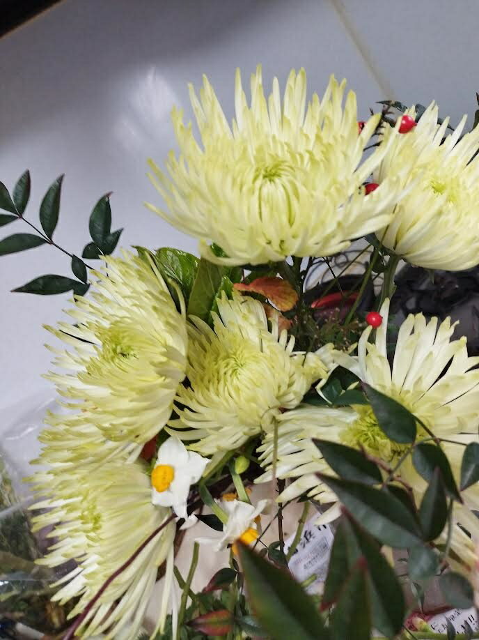 フラワーアレンジメント：花束：手土産、記念日（各イベント）、ご自宅、お誕生日 花ギフトの80％、高級フルーツの90％はギフト用と言われていましたが普段のお付き合いの中で、イベントお祝いと、もう花は贅沢品ではなくなりました。 ■お手入れ一日で...