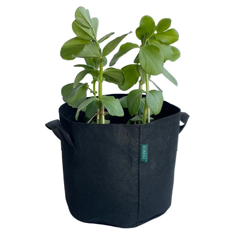 不織布プランター 3ガロン 2個入り ベランダ栽培 不織布ポット 植木鉢 幅24cm×高さ22cm 10リットル 軽い 割れない 家庭菜園 栽培袋 布袋 布鉢 8号 FORESIA ブラック✅【植物の育ちが良い】布製だから通気性、透水性が良...